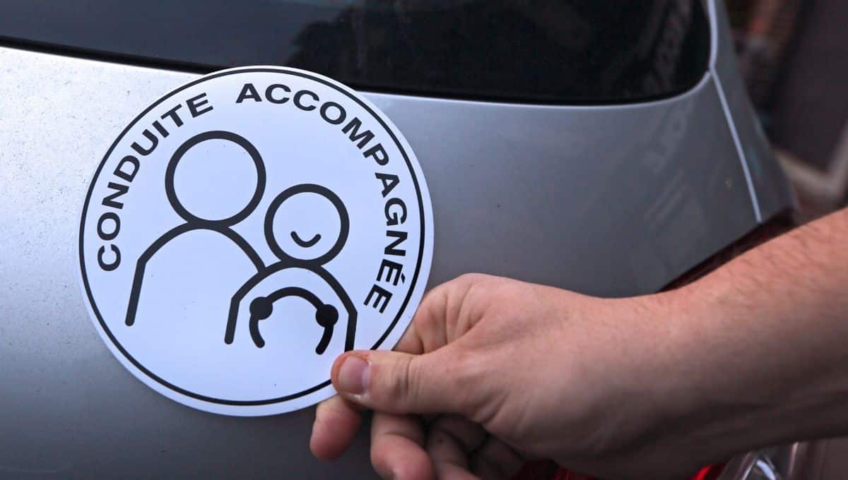 Tout savoir sur le disque de conduite accompagnée : guide pratique